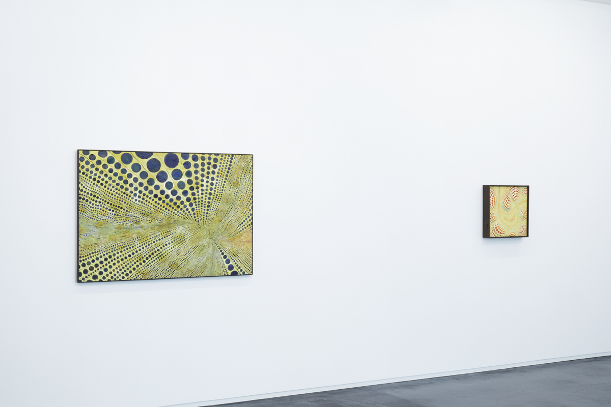 Minoru Onoda | Taka Ishii Gallery / タカ・イシイギャラリー